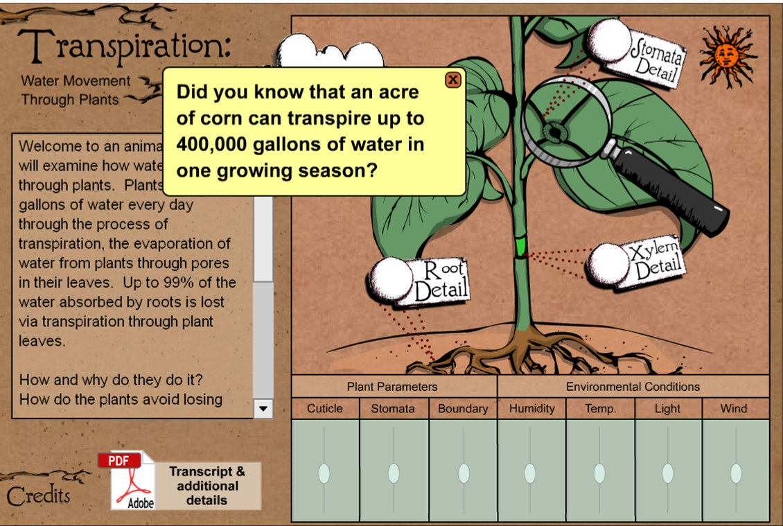 transpiration | i-Biology