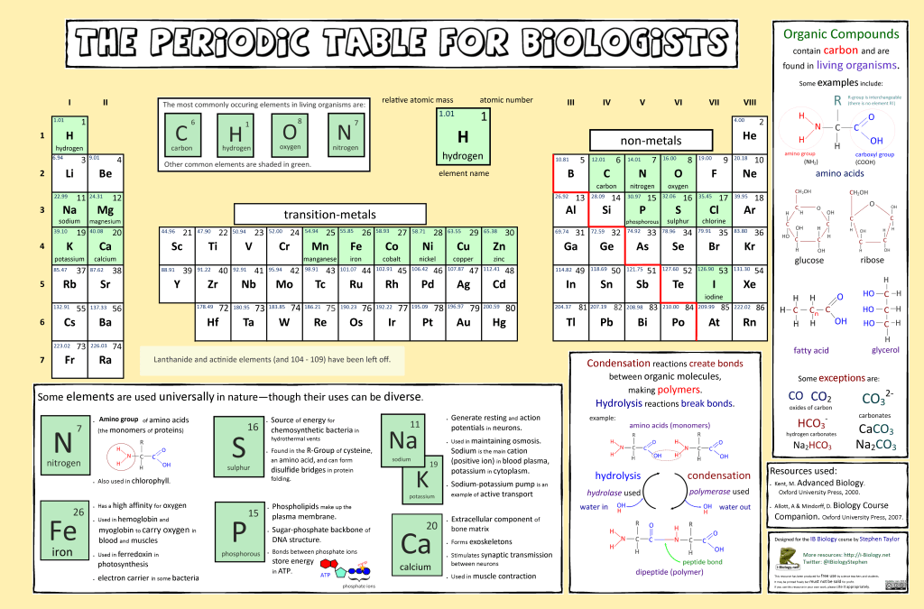 Periodic Table for Biologists | i-Biology