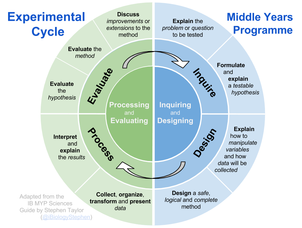 Experimental Cycle [and other diagrams] | i-Biology
