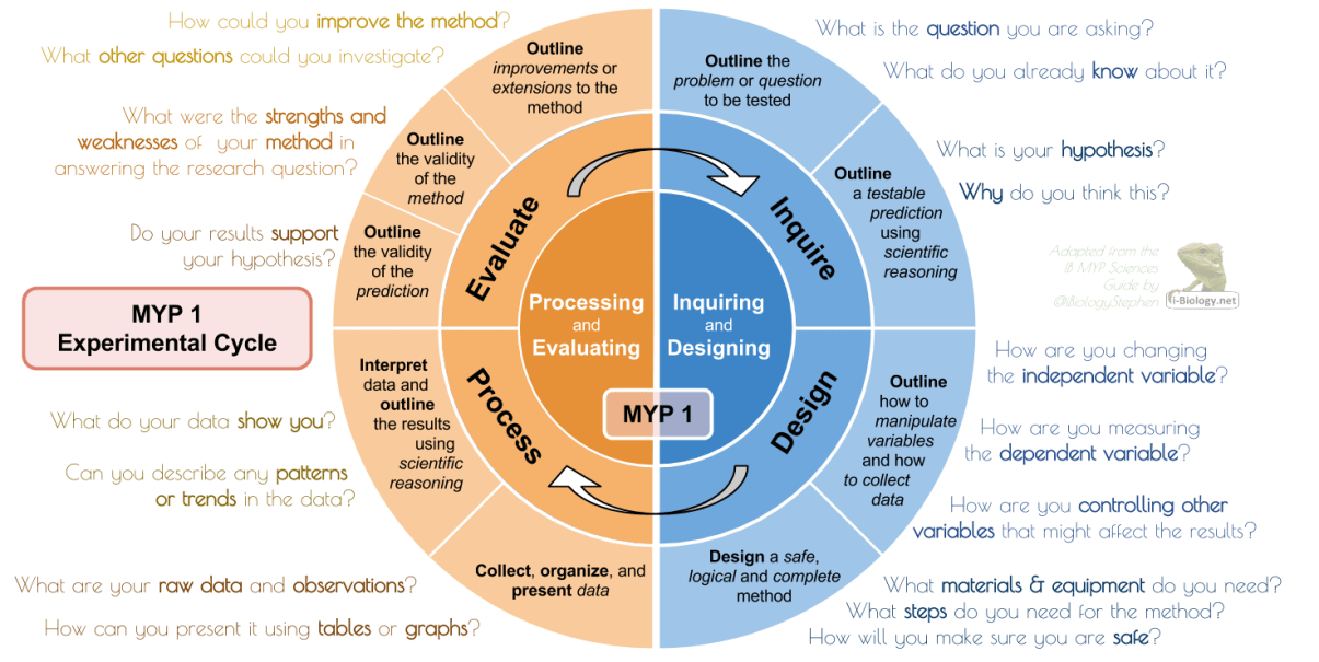 Experimental Cycle [and other diagrams] | i-Biology