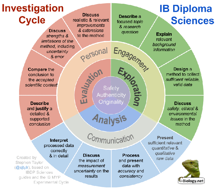 Experimental Cycle [and other diagrams] | i-Biology