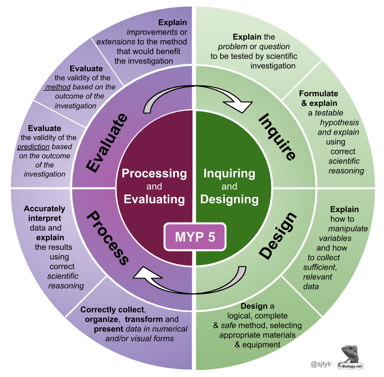 Experimental Cycle [and other diagrams] | i-Biology