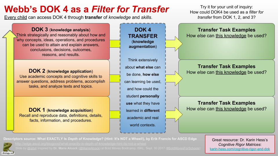 Webb’s DOK4 as a Filter for “Transfer” | i-Biology