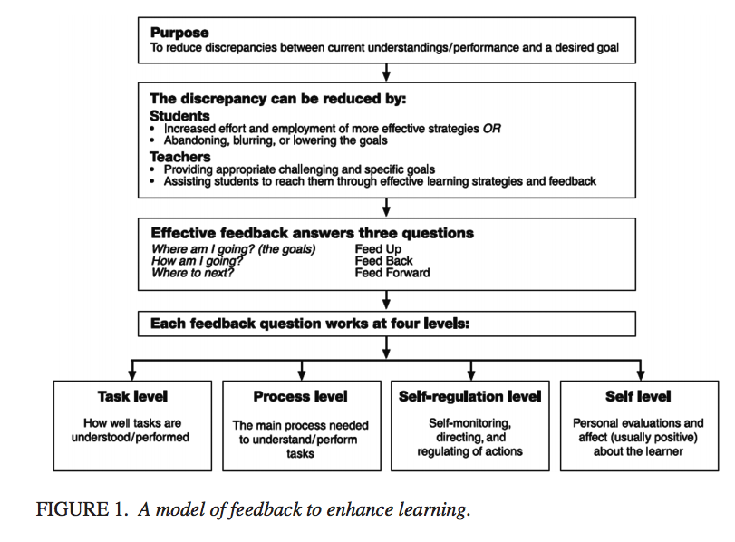 Making Feedback Visible: Four Levels in Action | i-Biology